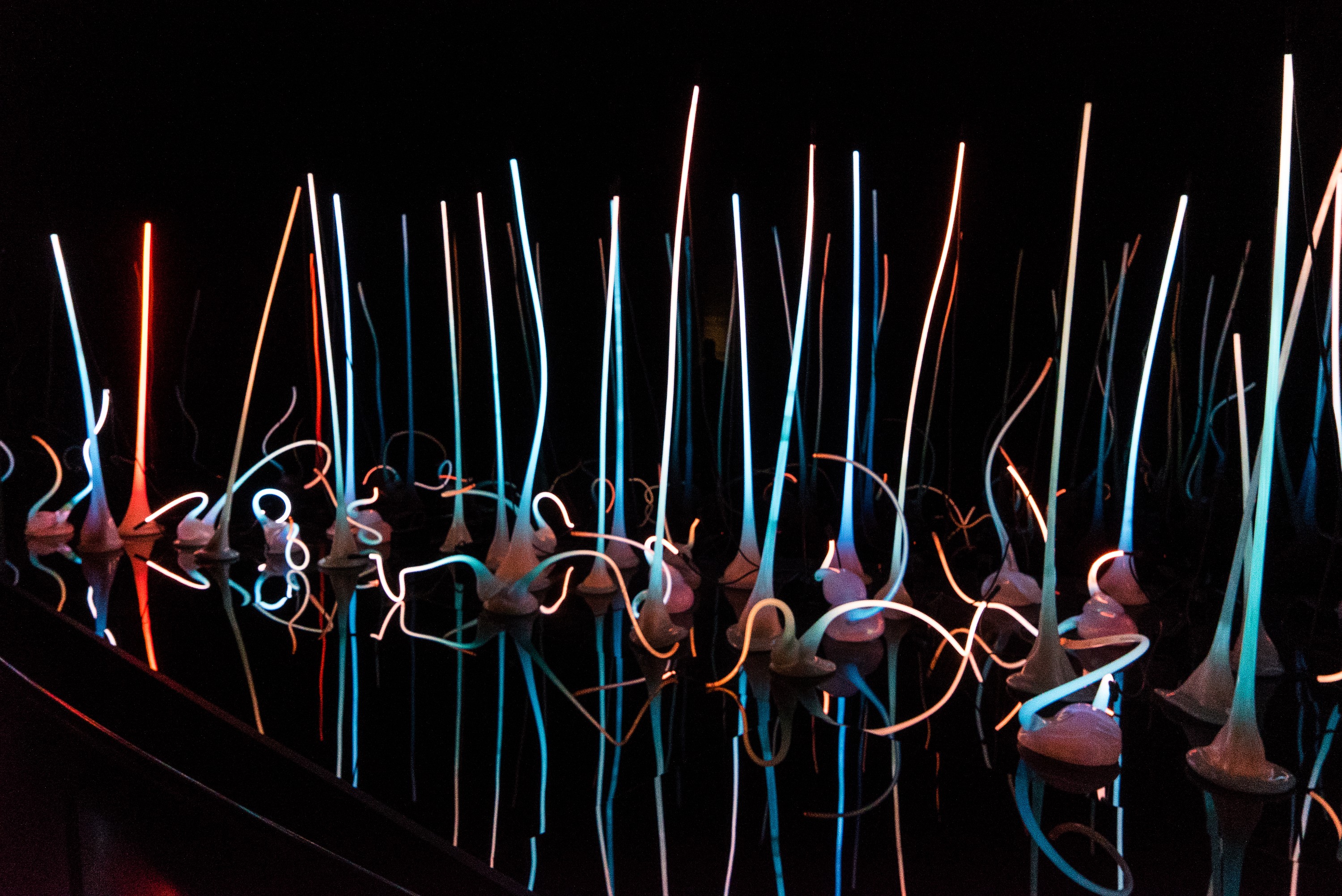 Eromi's Visit - Glass Museum