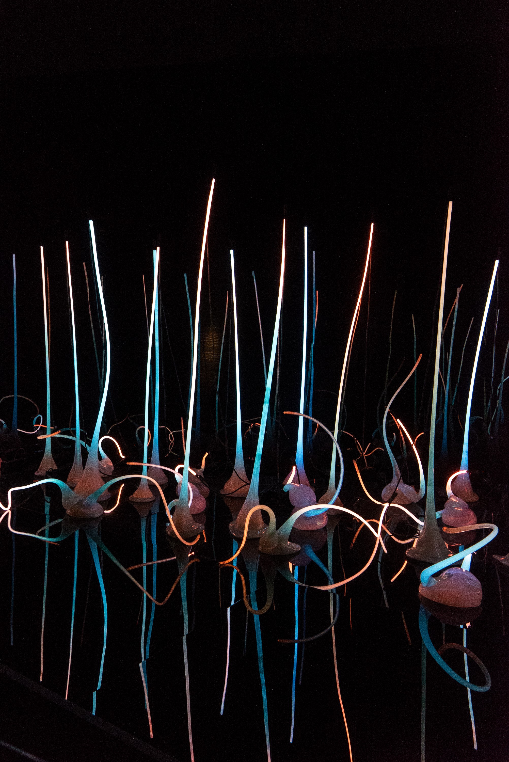 Eromi's Visit - Glass Museum